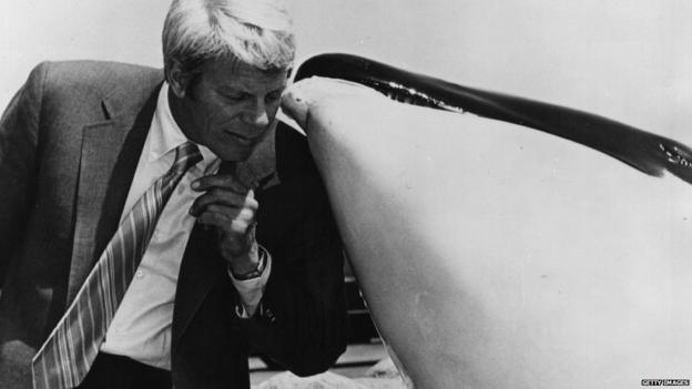 The story of SeaWorld's Shamu killer whales - BBC News