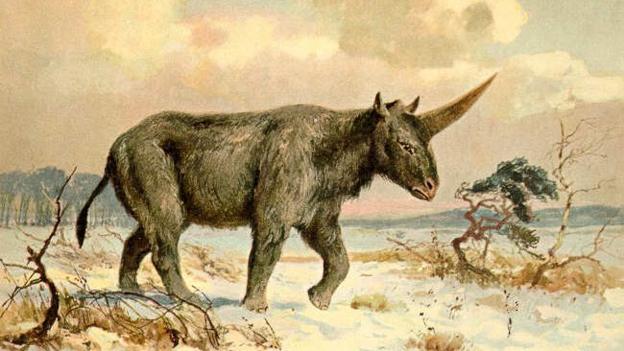National Unicorn Day is really here! - BBC Newsround
