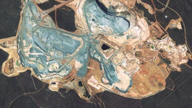 Struck mould: Scientists discover fungus covered in gold - BBC Newsround
