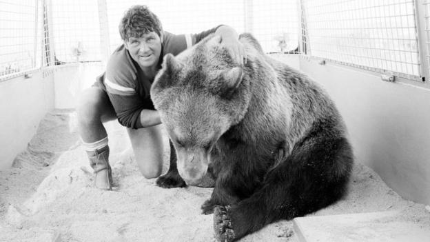 Hercules the bear brought back to life on the stage - BBC News