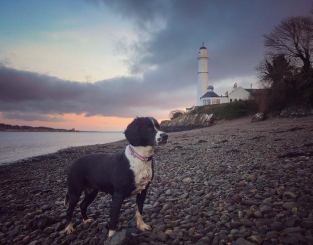 Your pictures of Scotland 25 Dec to 1 Jan - BBC News