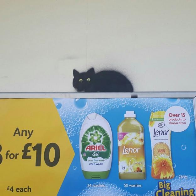 'Catsy': Artist wins over Wokingham with kitty creations - BBC News