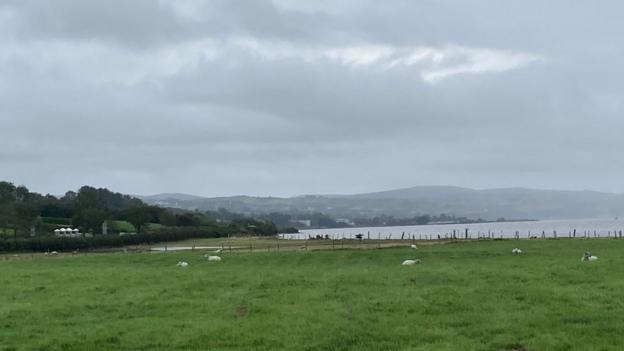Donegal: Father and two children die as car enters Lough Foyle - BBC News