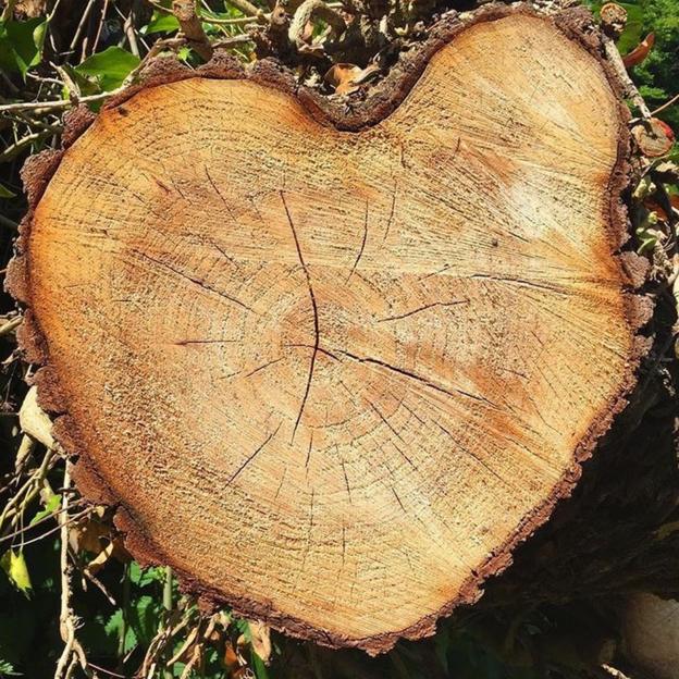 England's Big Picture: 13 - 19 February - BBC News