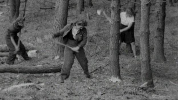 The Women's Timber Corps: Who were the 'Lumberjills' and what did they ...