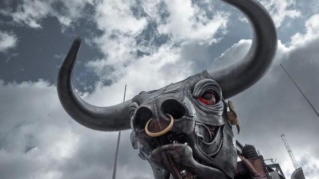 Birmingham bull: Photographers share images on Instagram - BBC News