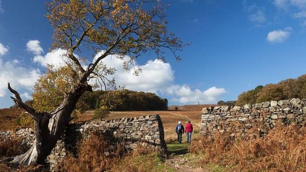 Bradgate Park: National nature reserve status protects ancient rocks ...