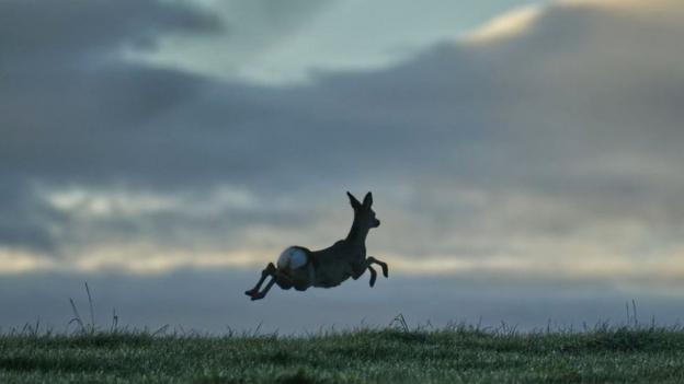 Your pictures of Scotland: 3 November - 10 November - BBC News