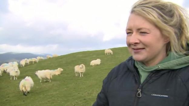 Rare 'white red kite' is spotted by Abercegir farmer - BBC News