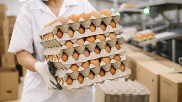 Egg shortages: What's causing the problem and how long will it last ...