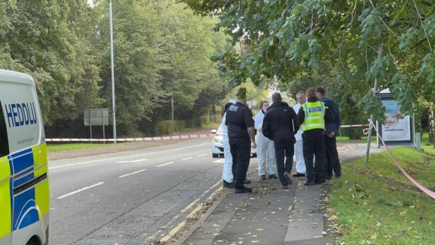 Swansea: Murder accused appears in court after car fire - BBC News