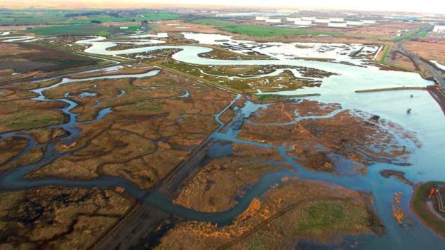 River Tees estuary flooding and wildlife schemes launched - BBC News