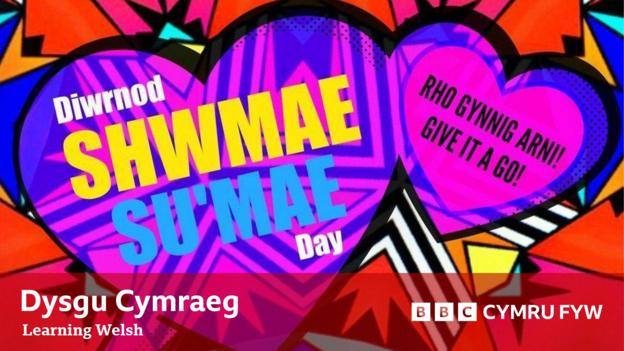 Newyddion a mwy - BBC Cymru Fyw