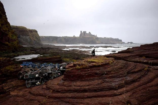 Your pictures of Scotland: 5 - 12 April - BBC News