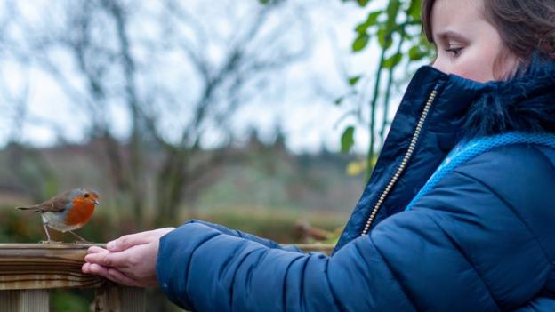 Your pictures of Scotland 11 - 18 December - BBC News