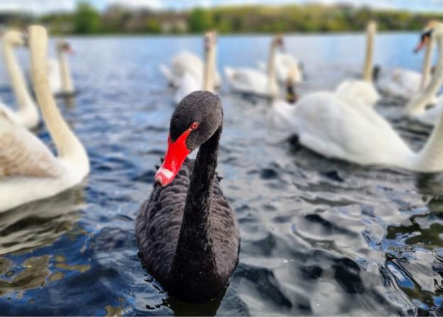 Your pictures of Scotland: 28 April - 5 May - BBC News