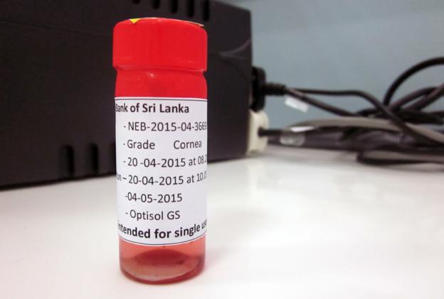 The country that supplies eyes - BBC News