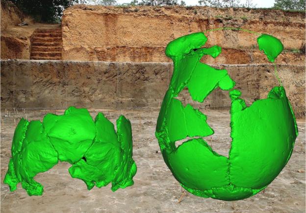 Ancient skulls give clues to China human history - BBC News