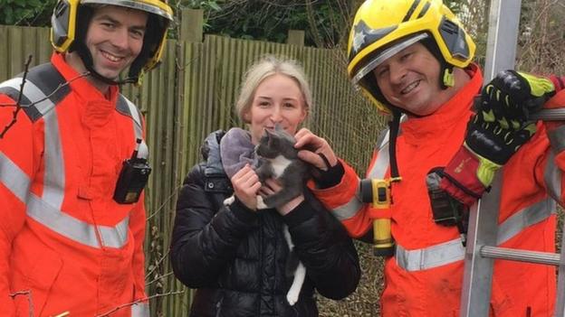 Peterborough woman stuck up tree in botched cat rescue - BBC News
