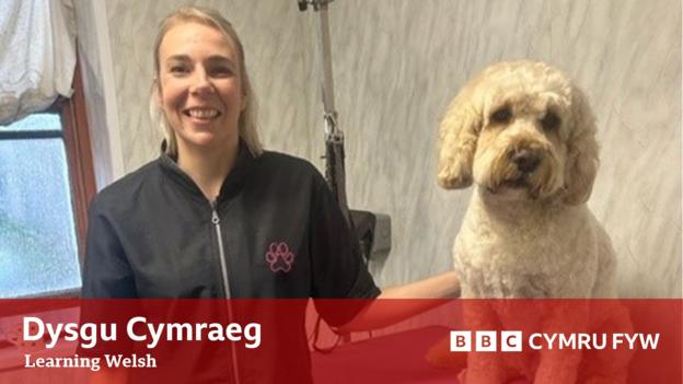 Newyddion a mwy - BBC Cymru Fyw