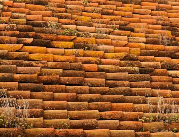Your pictures: Rooftops - BBC News