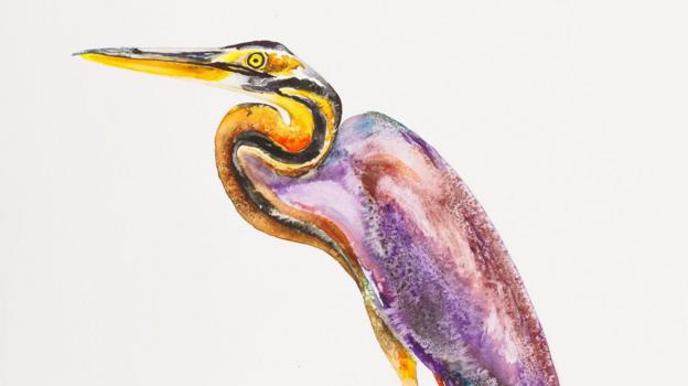 Jim Moir's bird paintings to go on show in Port Sunlight art gallery ...