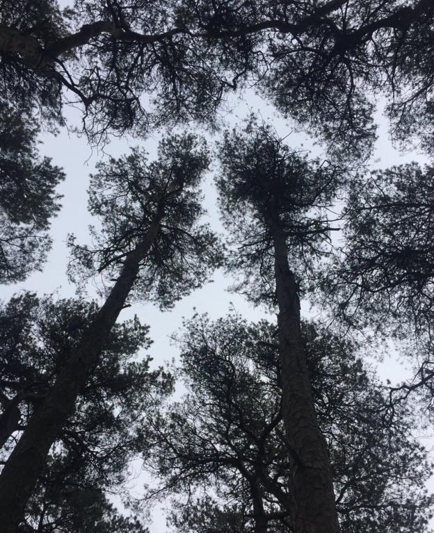 England's Big Picture: 2 - 8 April - BBC News