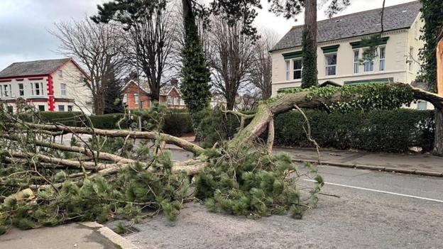 Storm damage: How to stay safe and what to do in a power cut - BBC News