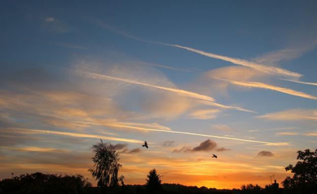 England's Big Picture: 17 - 23 October - BBC News