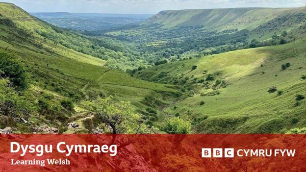 Newyddion a mwy - BBC Cymru Fyw