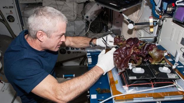 Four ways Nasa is teaching us how to live more sustainably - BBC News
