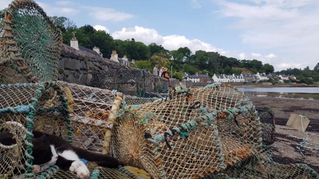 Your pictures of Scotland: 28 June - 5 July - BBC News