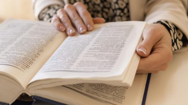Charli XCX's Brat crowned Collins Dictionary word of the year - BBC News