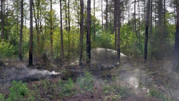 Delamere Forest: Fire crews tackle blaze at Cheshire beauty spot - BBC News