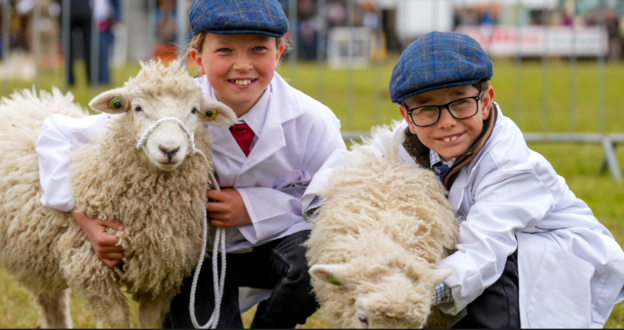Suffolk Show: Everything you need to know - BBC News