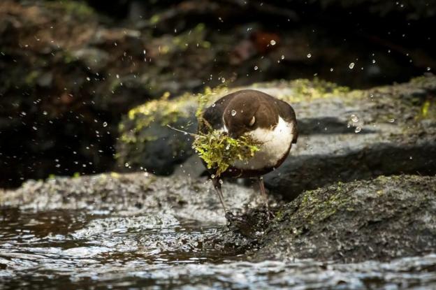 Your pictures of Scotland 12 - 19 March - BBC News