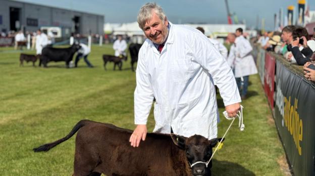 Balmoral Show 2025: Tickets, when, where and how to get there - BBC News