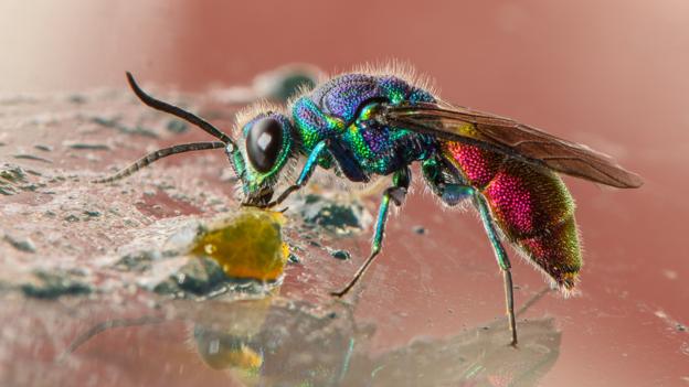 Your pictures of Scotland: 26 June - 3 July - BBC News