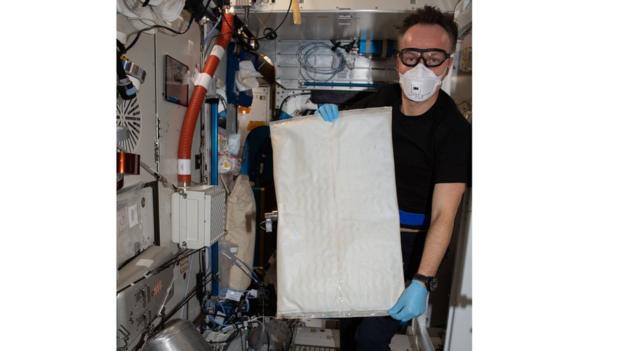 ISS: Astronauts have recycled 98% of water from their pee, sweat and ...