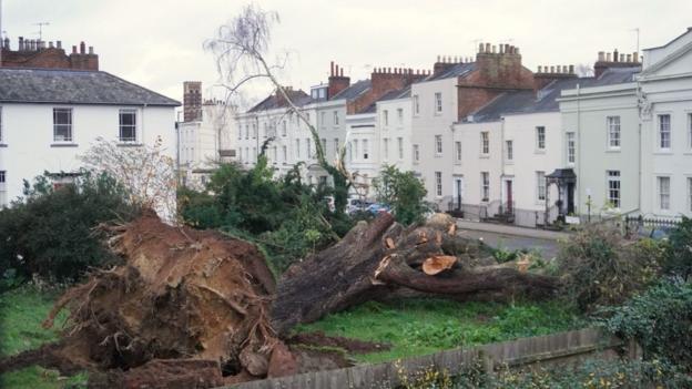 Man 'seriously hurt' by falling tree after storms batter West Midlands ...