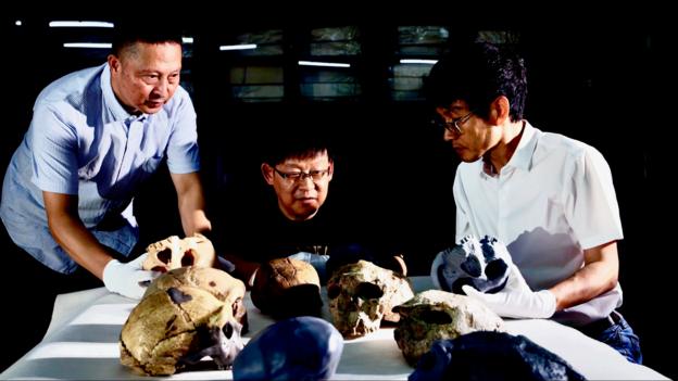 Million-year-old skull rewrites human evolution, say scientists - BBC News