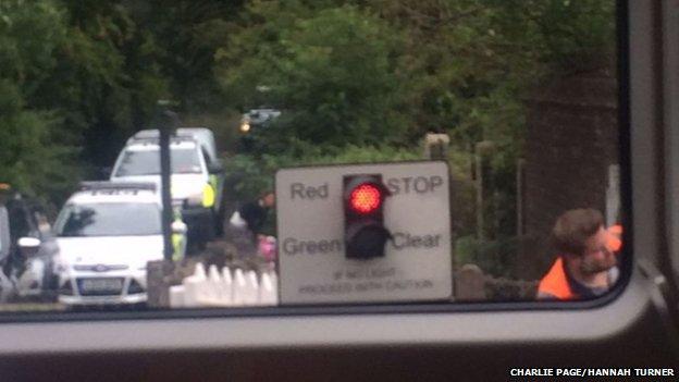 Stansted train kills three cows at Bishops Stortford - BBC News