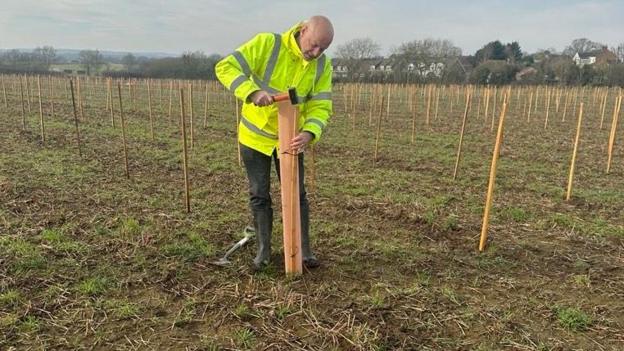 Silsoe woodland with 60,000 trees to aid research and community - BBC News