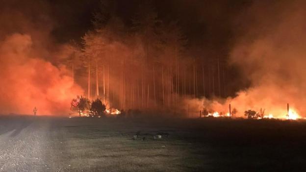 Wareham Forest fire flare-ups continue to spread after six days - BBC News