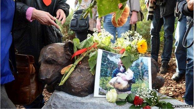 Knut polar bear death riddle solved - BBC News