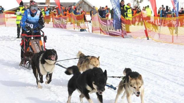 Sled dogs: Sussex man defends world title for third time - BBC News