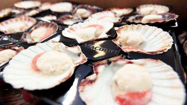 Canadian firm to buy Macduff Shellfish for £100m - BBC News