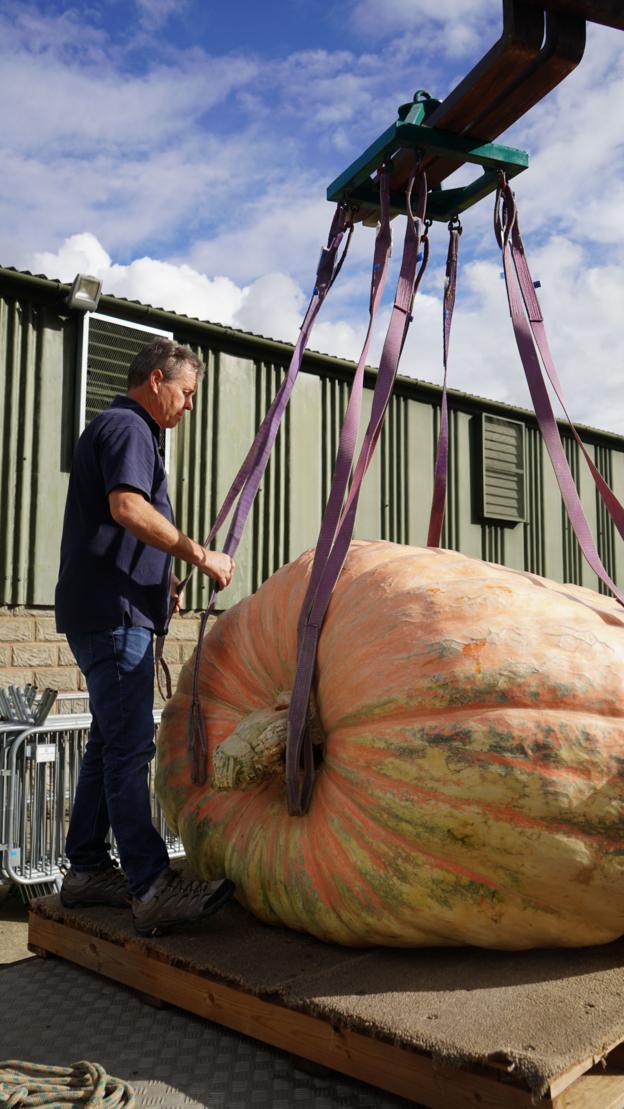 Malvern Autumn Show: Meet the giant vegetable growers - BBC News
