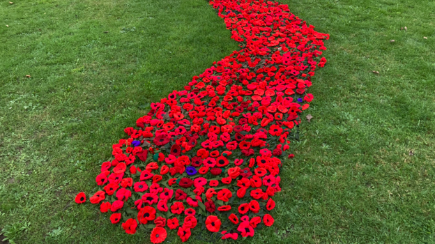 West Row creates cascade of poppies for Remembrance Day - BBC News