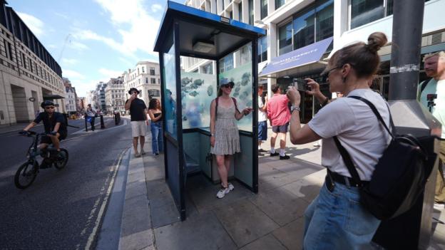 Banksy paints fish on police sentry box in London's Ludgate Hill - BBC News
